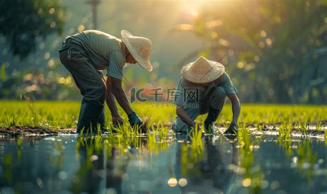 插秧的农民伯伯们高清摄影大图 千库网