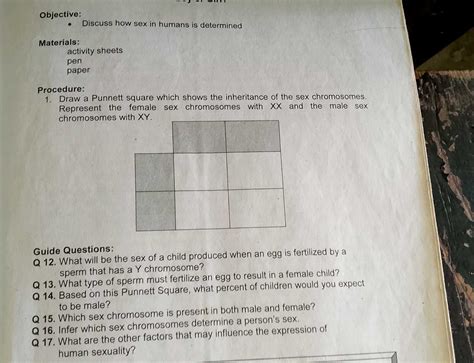 Objective Discuss How Sex In Humans Is Studyx Objective Discuss How Sex In Humans Is Studyx