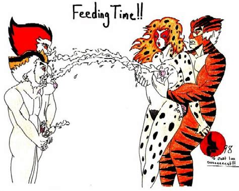 Rule 34 1990s 1998 20th Century Artist Request Cheetara Thundercats Tygra Wilykat Wilykit 421049