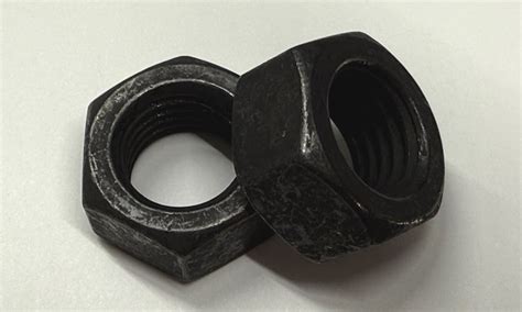 M16 Hex Nut Ss316 Moly Coated Black