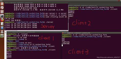 linux下使用多进程实现一个tcp server，使多个客户端和服务器进行通信 linux tcp服务器 多客户端 csdn博客