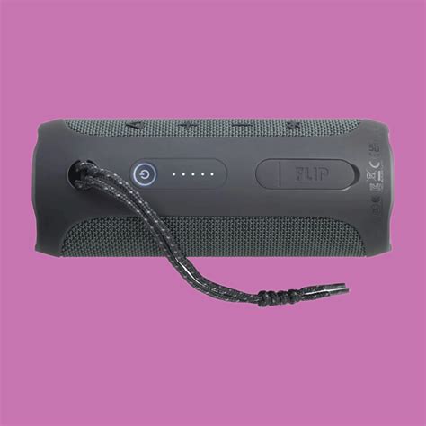 JBL Flip Essentials Portable BT Speaker Months