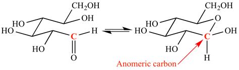 Anomeric Carbon Sucrose