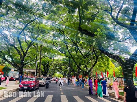 Nhớ Về Phố Cũ Báo Đắk Lắk điện Tử