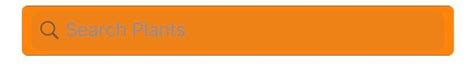ios color not set properly to search bar stack overflow