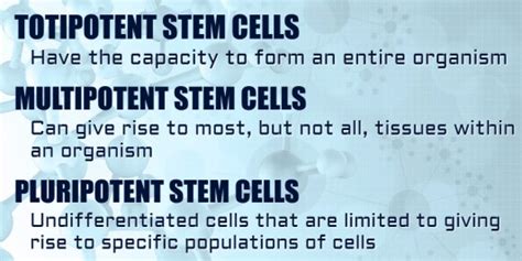 What Stem Cell Clinics Do You Trust Bioinformant