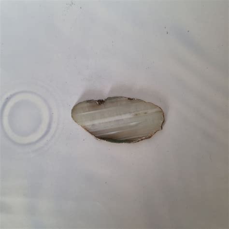 Medium Green Agate Slice Oracle Of Crystals Melbourne