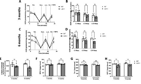 Figure 1 From Cardiac Mitochondria Dysfunction In Dyslipidemic Mice Semantic Scholar