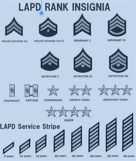 Lapd Police Ranks