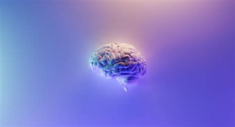 Research Spotlight The Art Of Blending Deep Learning With Algorithmic
