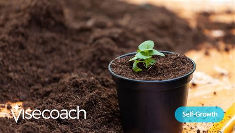 Passion Vs Purpose Which Should You Pursue Wujudkan Potensi Terbaik