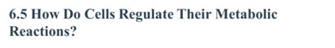 Bio 111 Test 2 Flashcards Quizlet
