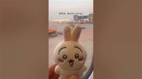 우사기 먼작귀 Youtube