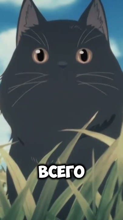 АНИМЕ ПРО КОТИКОВ 2 аниме Anime котики авы Cat анимемомент кошки Youtube