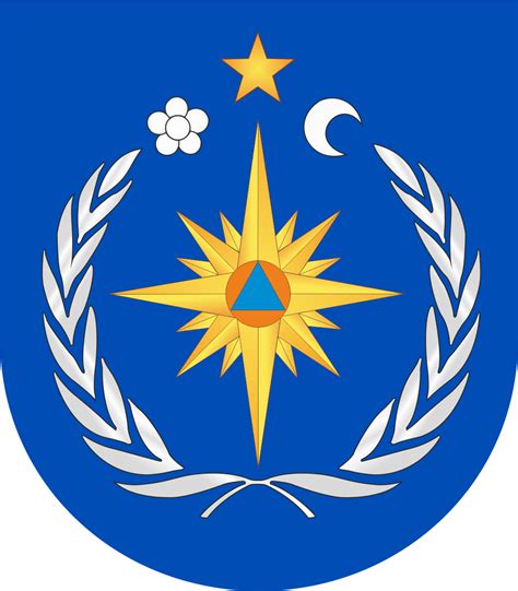 Buget Inspectoratul General Pentru Situații De Urgență