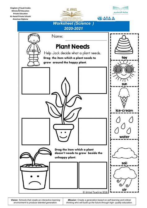 Plant Life Cycle Kindergarten Booklet Biology Twinkl Usa Worksheets Library