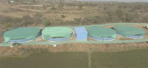 Recirculatory Aquaculture System At Best Price In Vaddeswaram By Ark