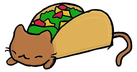 Taco Cat