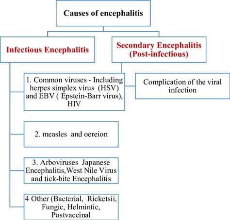 Encephalitis Treatment