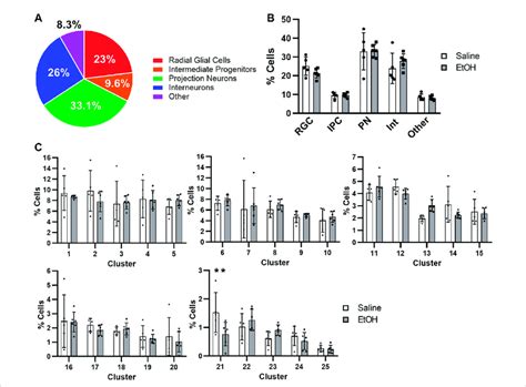 Distribution Of Cell Across Cell Types A Pie Chart Of The Percentage Download Scientific