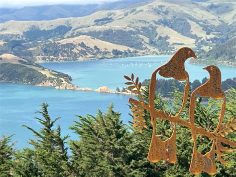 Kūkupa Matairangi At Akaroa Lavender Cabin In Duvauchelle