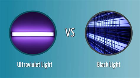 what s the difference between blacklight and uv light at fred grant blog