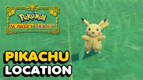 Top 999 Pokemon Pikachu Images Amazing Collection Pokemon Pikachu