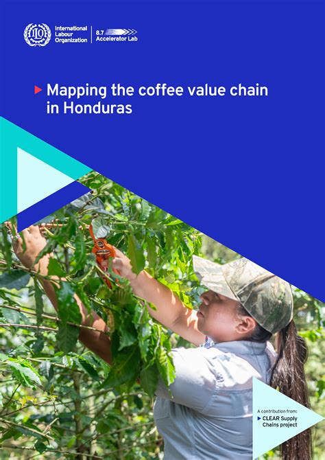 Mapping The Coffee Value Chain In Honduras International Labour