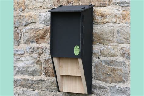 The Best Bat Boxes For Roosting And Hibernating Bats In 2024 Bbc