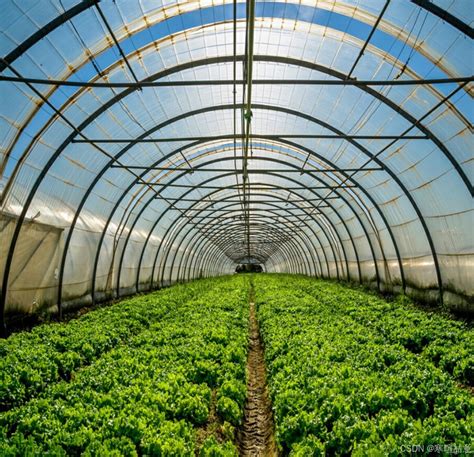 智慧农业：智能温室大棚引领农业新潮流智能温室大棚自动遮阳布 Csdn博客