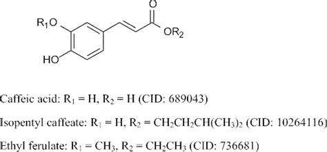 Structure Of Caffeic Acid Isopentyl Caffeate And Ethyl Ferulate The