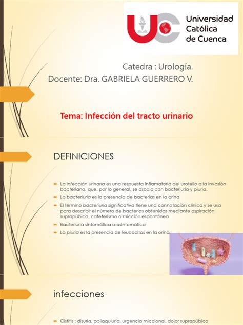 Infección Del Tracto Urinario Definición Y Clasificación Pdf