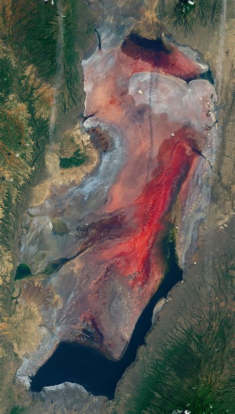 Lake Natron Wikipedia