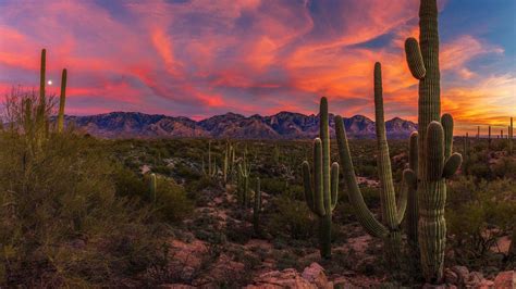 Desert Landscape Wallpaper Hd