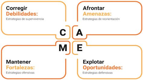 Análisis Came Para La Orientación Una Herramienta De Acción