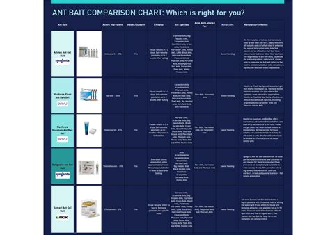 Ant Baits Which One Should You Use How To Pest