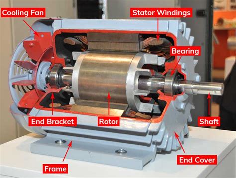 Function Of Stator In Induction Motor