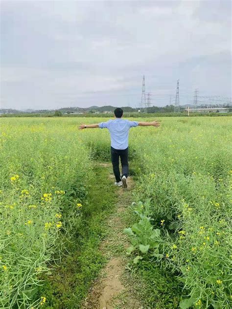 分类 蒲公英 下的文章 秋生云语