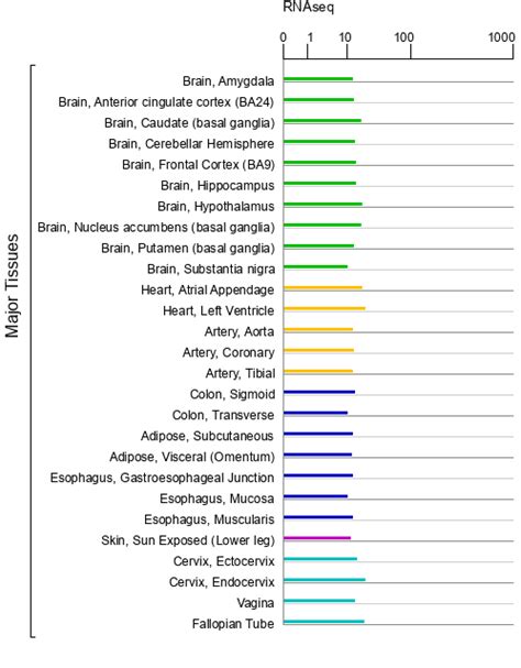 Tmem67 Gene Genecards Mks3 Protein Mks3 Antibody