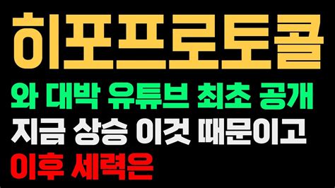 히포프로토콜 코인 전망 차트에서 세력이 이 의도를 흘렸습니다 Youtube
