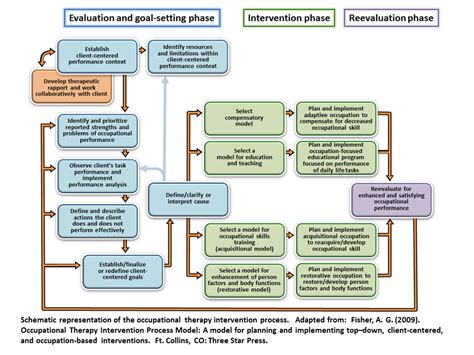 Motor Control Model Occupational Therapy At Gordon Young Blog