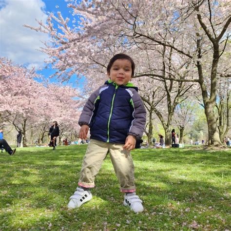 Prayan Mishra Youtube