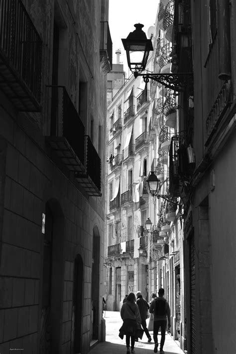 Harrison Robards Harrisonrobard Twitter