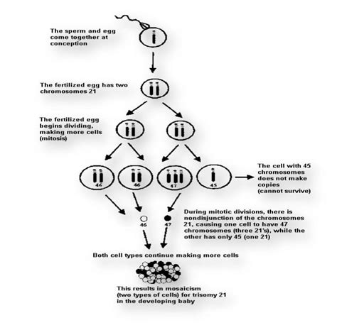 Simple Medicine Numerical Chromosomal Aberrations