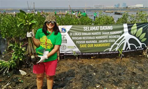 Mangrove Nusantara Added A New Photo Mangrove Nusantara