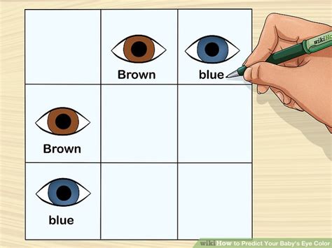Eye Color Chart Predictor