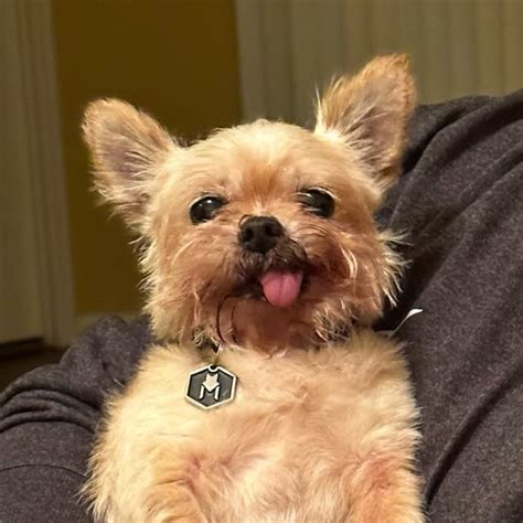 Joel Bailey Joelbailey On Threads