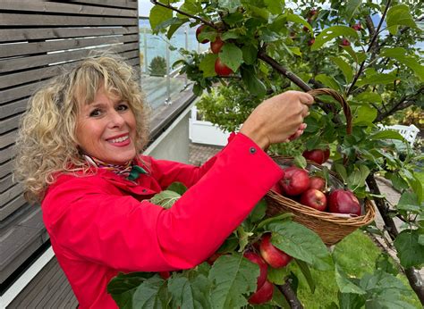 Epler Hage Kristin Har Høstet 50 Kilo Epler Det Er Litt Eksotisk