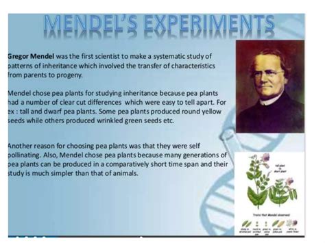 Class10 Hereditary And Evolution 13 Slides Pptx