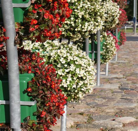 Cube Plant Pots Arch Scan Plast